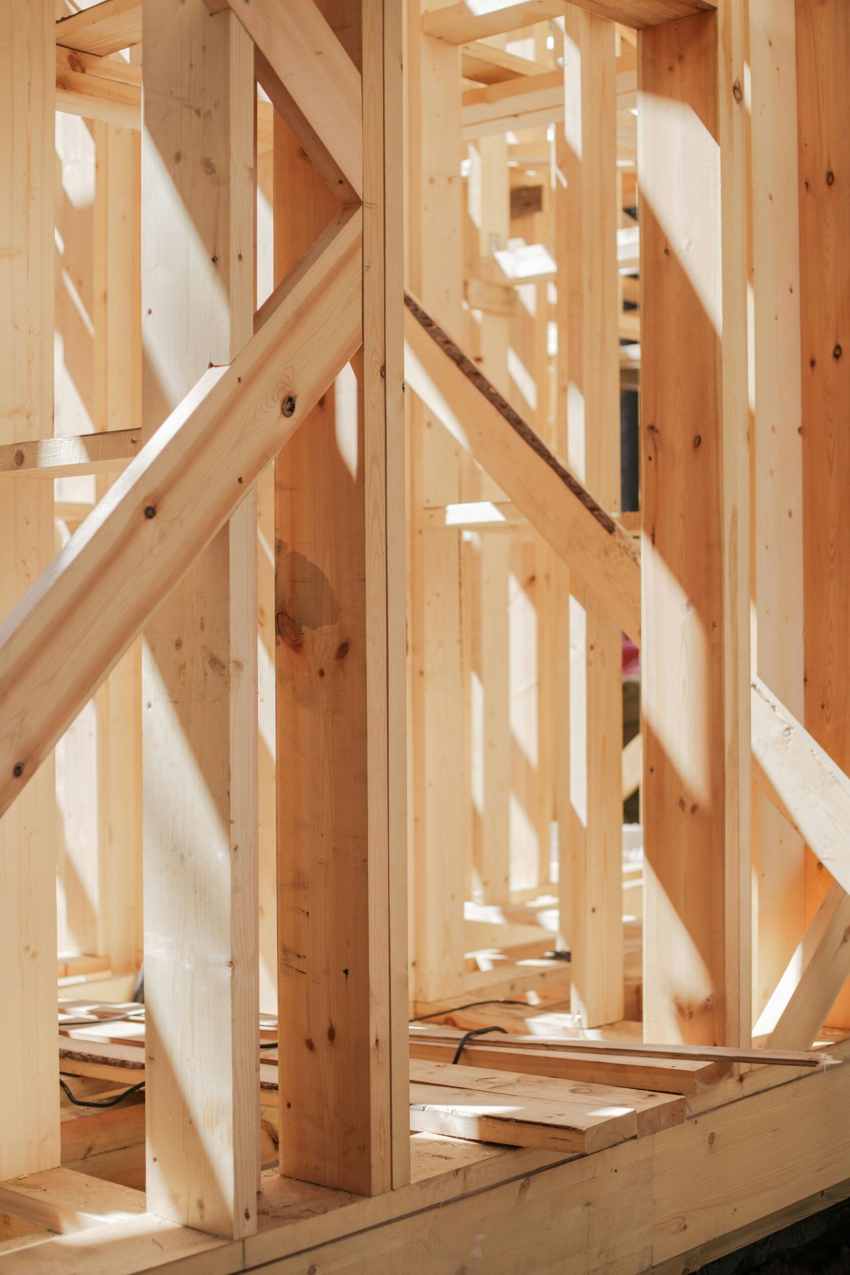 Pourquoi opter pour une maison ou en ossature bois